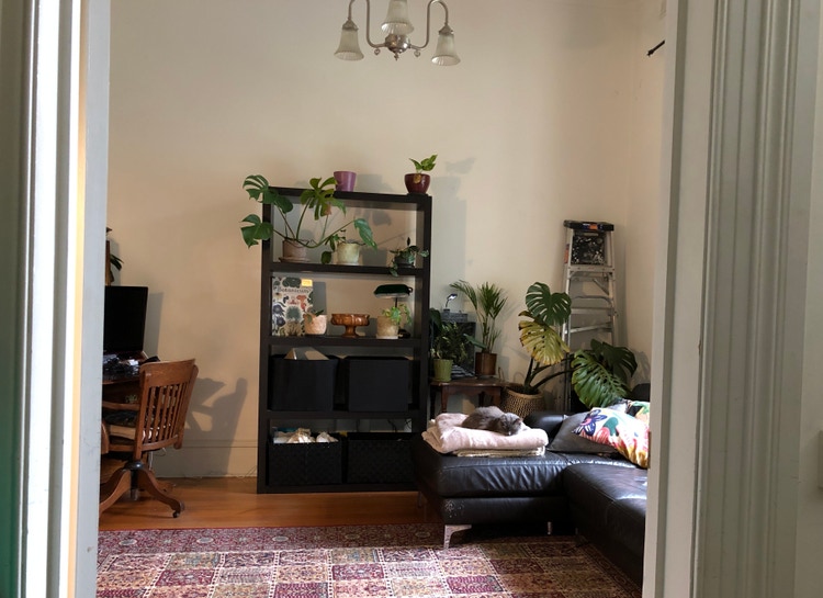 Share house Carlton, Melbourne | $254pw, 4+ bedroom house | GayShare.com.au