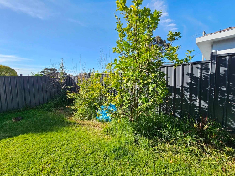 Share house Bundoora, Melbourne | $154pw, 3 bedroom house | GayShare.com.au